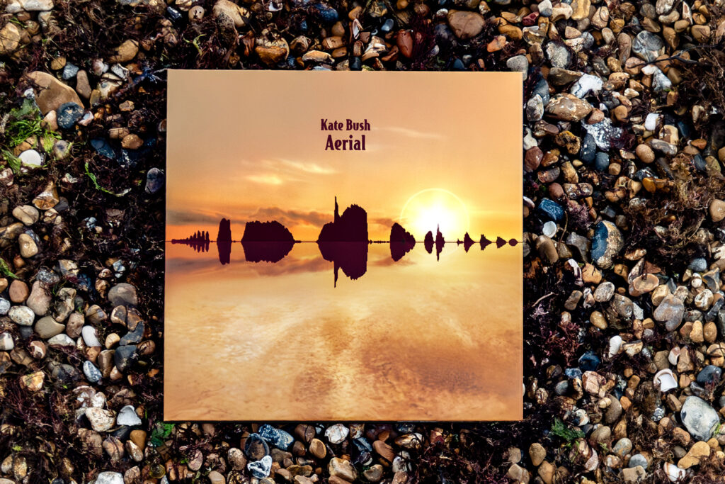 Aerial - Kate Bush